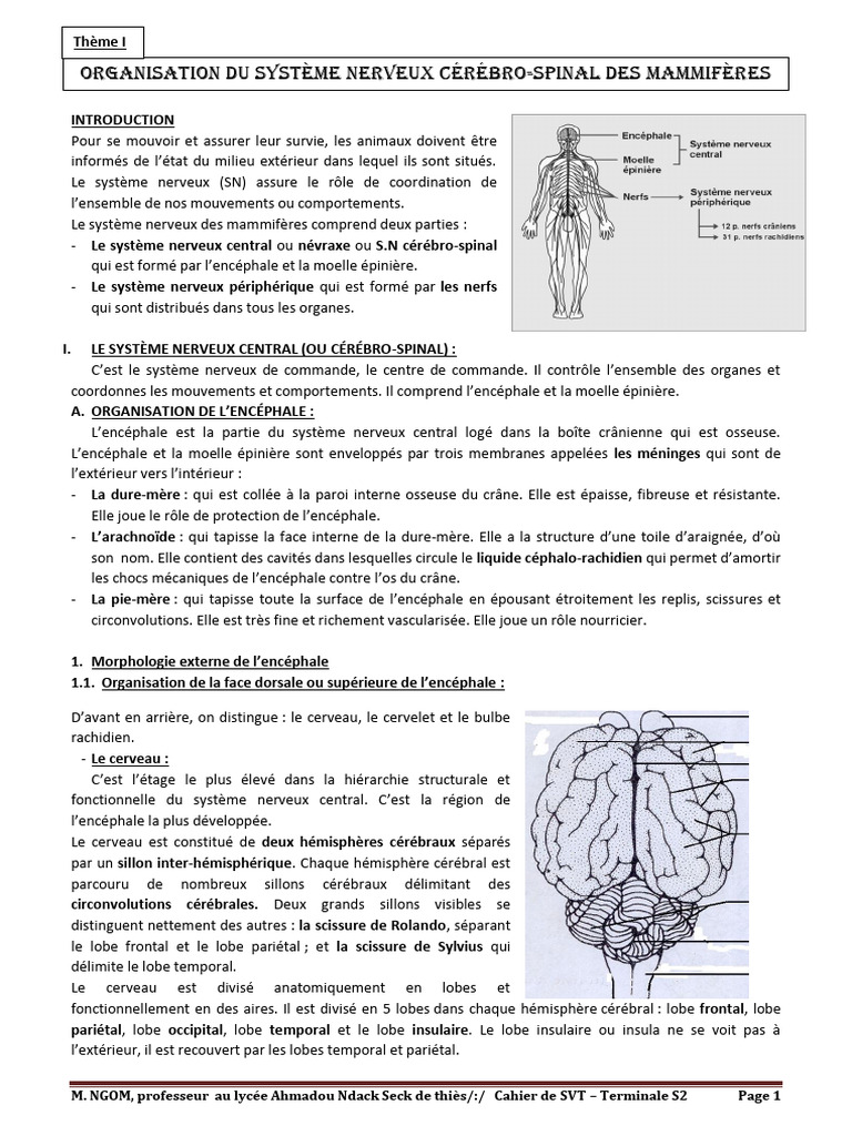 Fascicule SVT Terminale s2 - Ngomlkjjli | PDF
