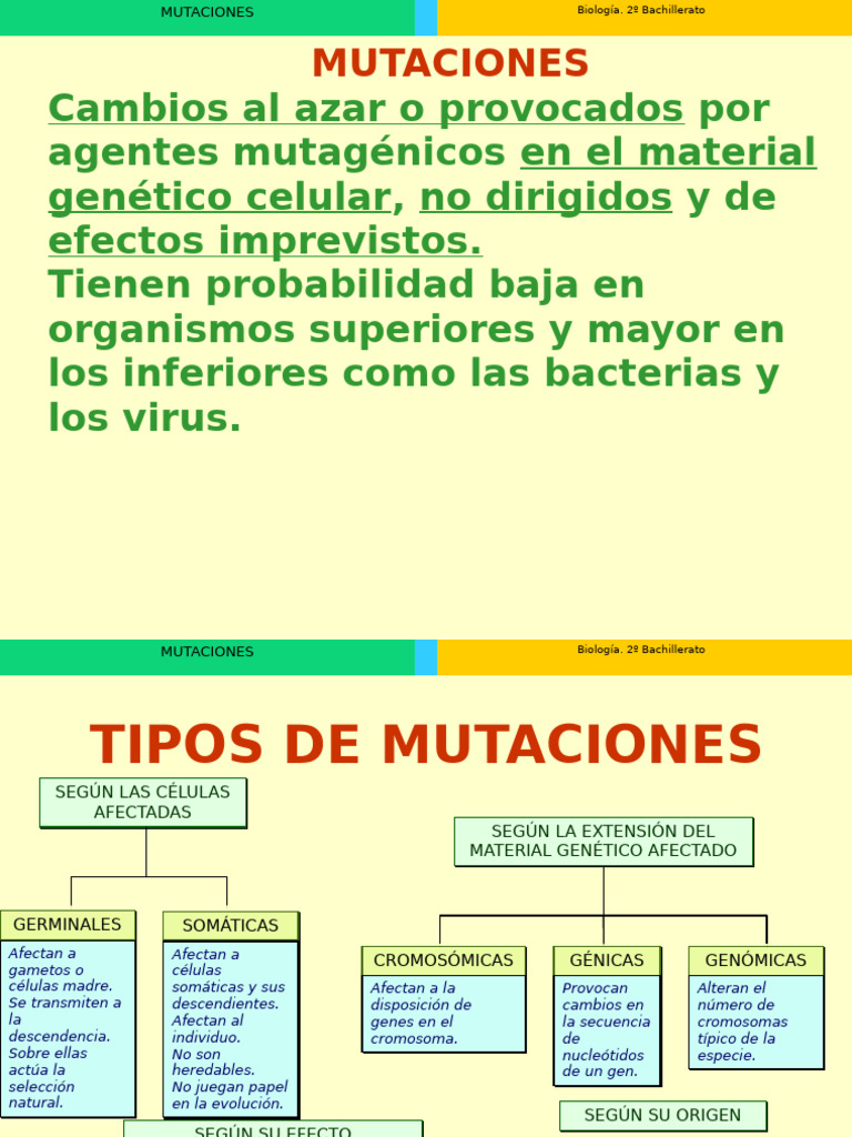 3 Mutaciones | PDF