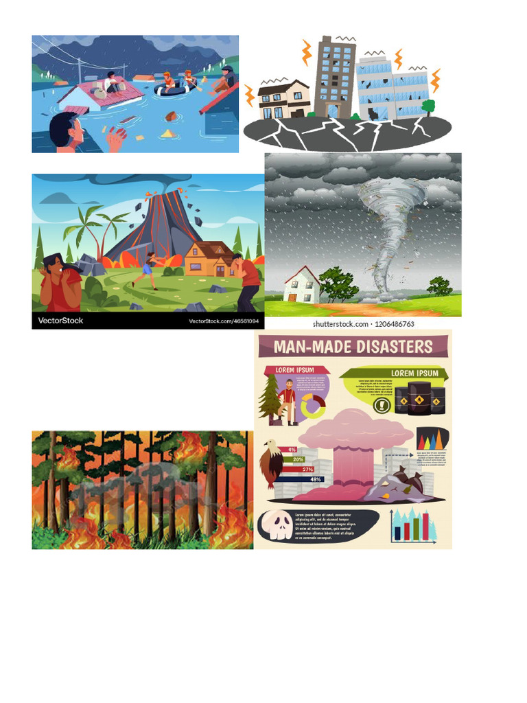 Disaster Management Images For Projects | PDF