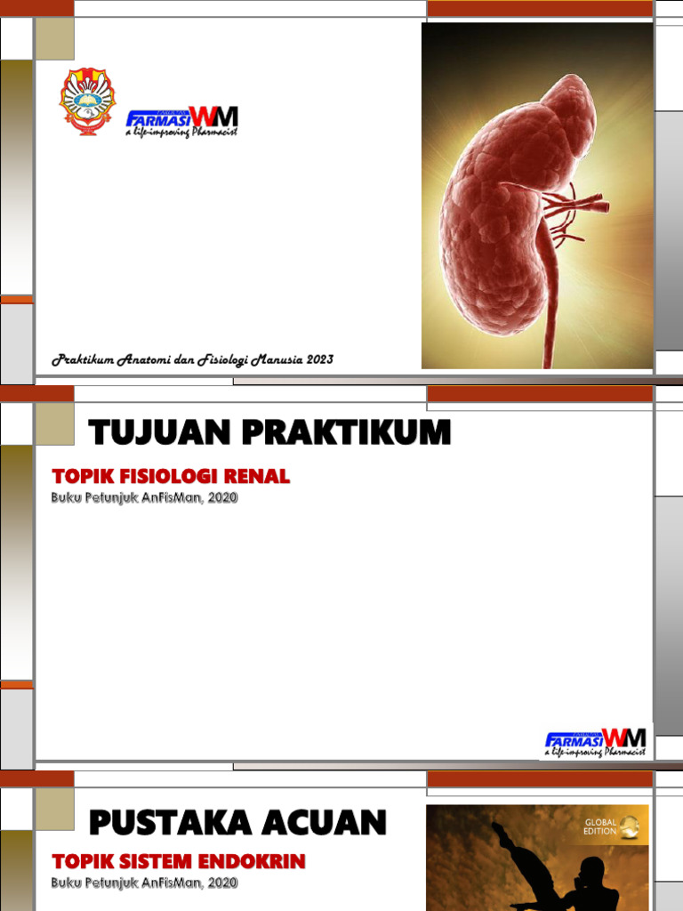 Tp11 R Rizqina Nazwa 4 | PDF