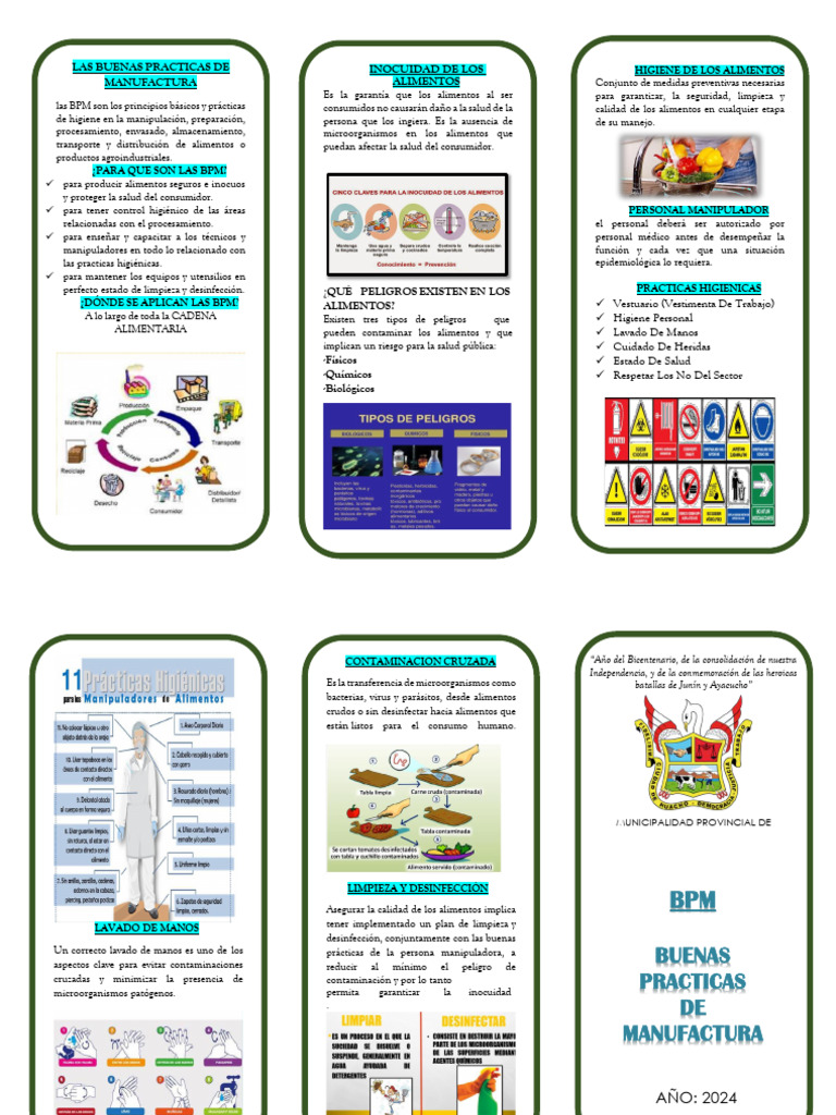 Triptico BPM. | PDF