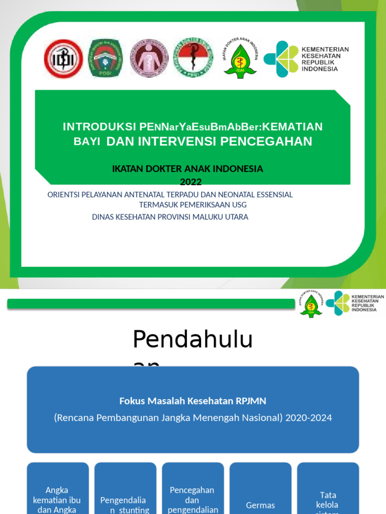 Introduksi Penyebab Kematian Bayi Dan Intervensi Pencegahan | PDF