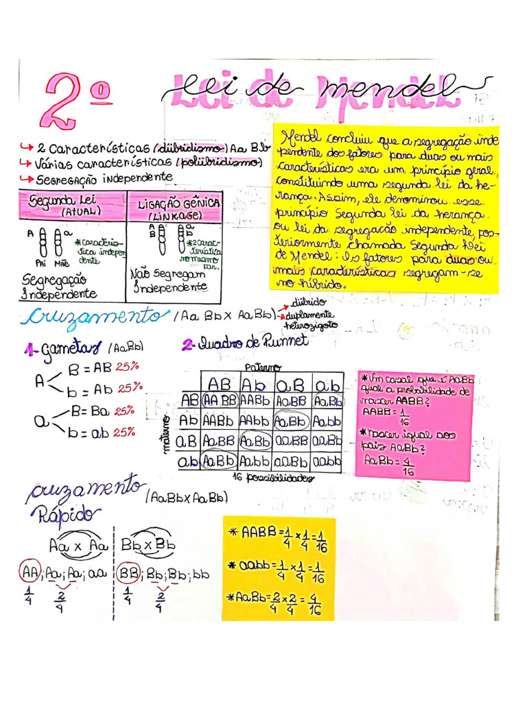 2 Lei Mendel | PDF