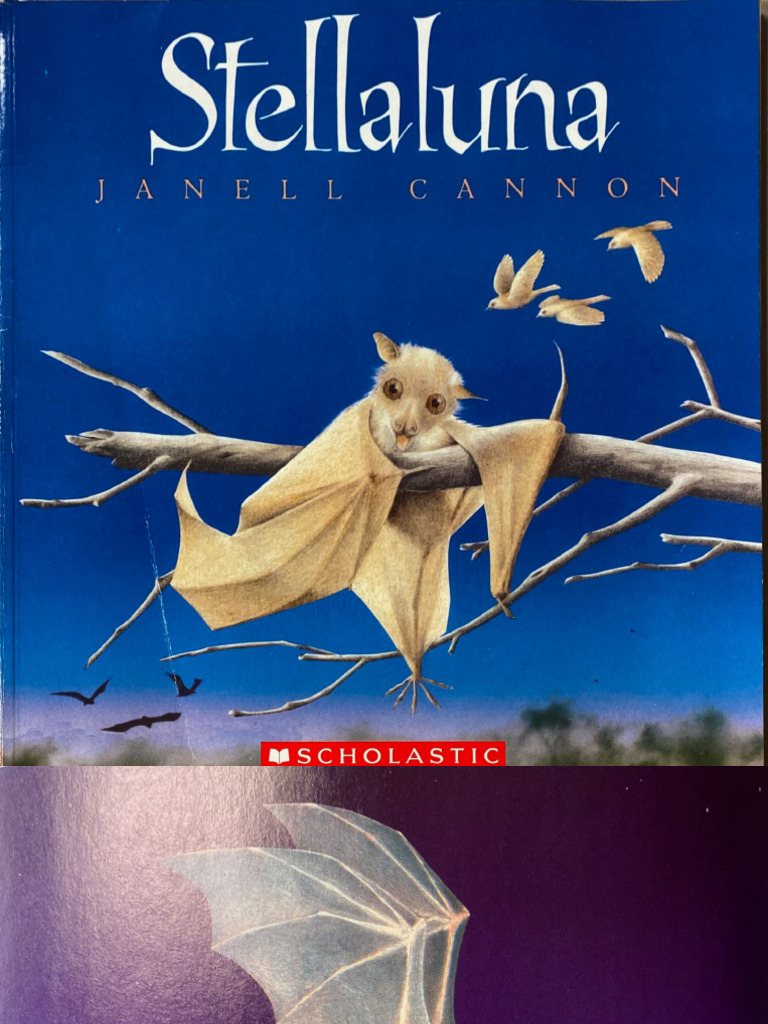 Stellaluna Text | PDF