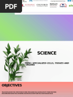 Light Intensity's Effect on Photosynthesis | PDF