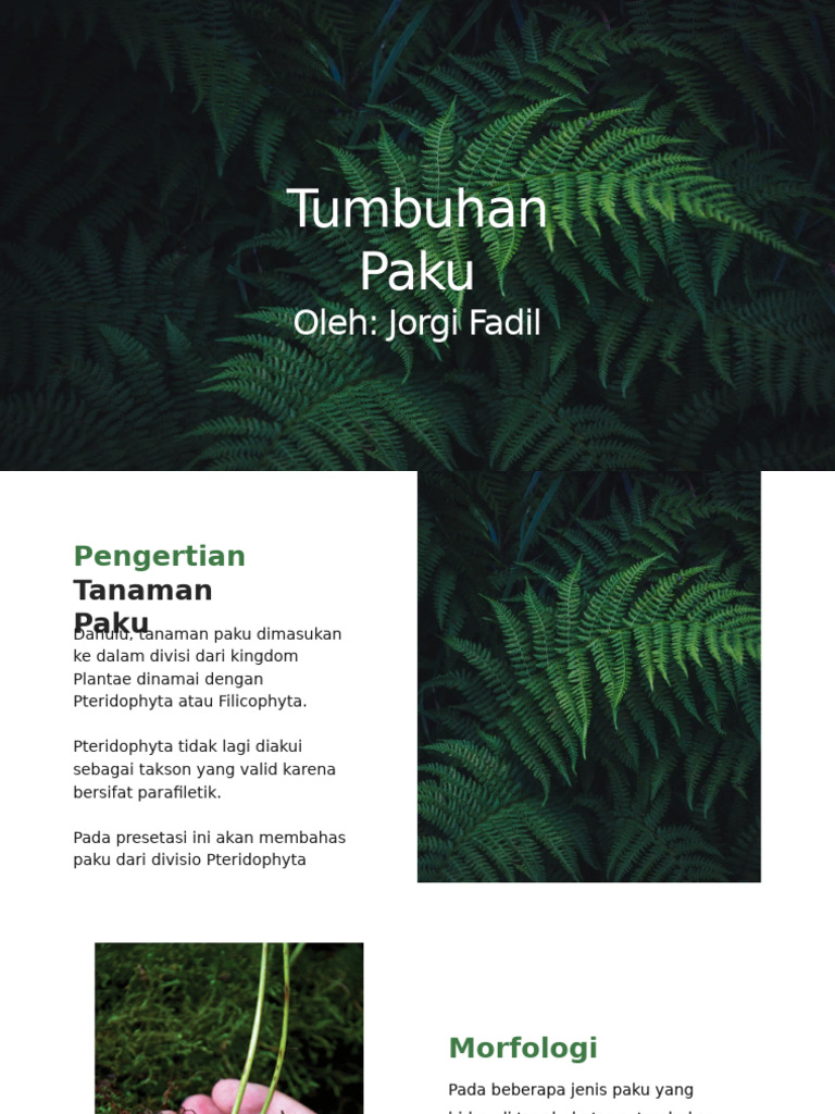 Laporan Penelitian Jorgi Fadil (Tumbuhan Paku) | PDF