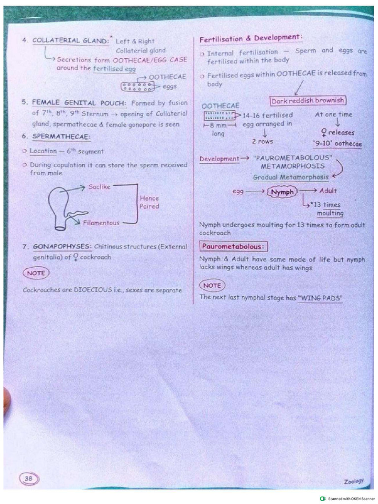 Biomolecule | PDF