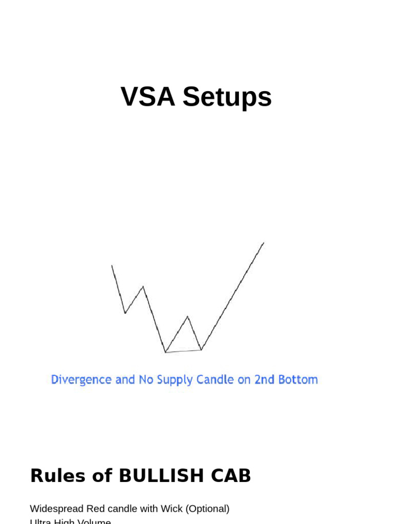 Vsa Rules | PDF