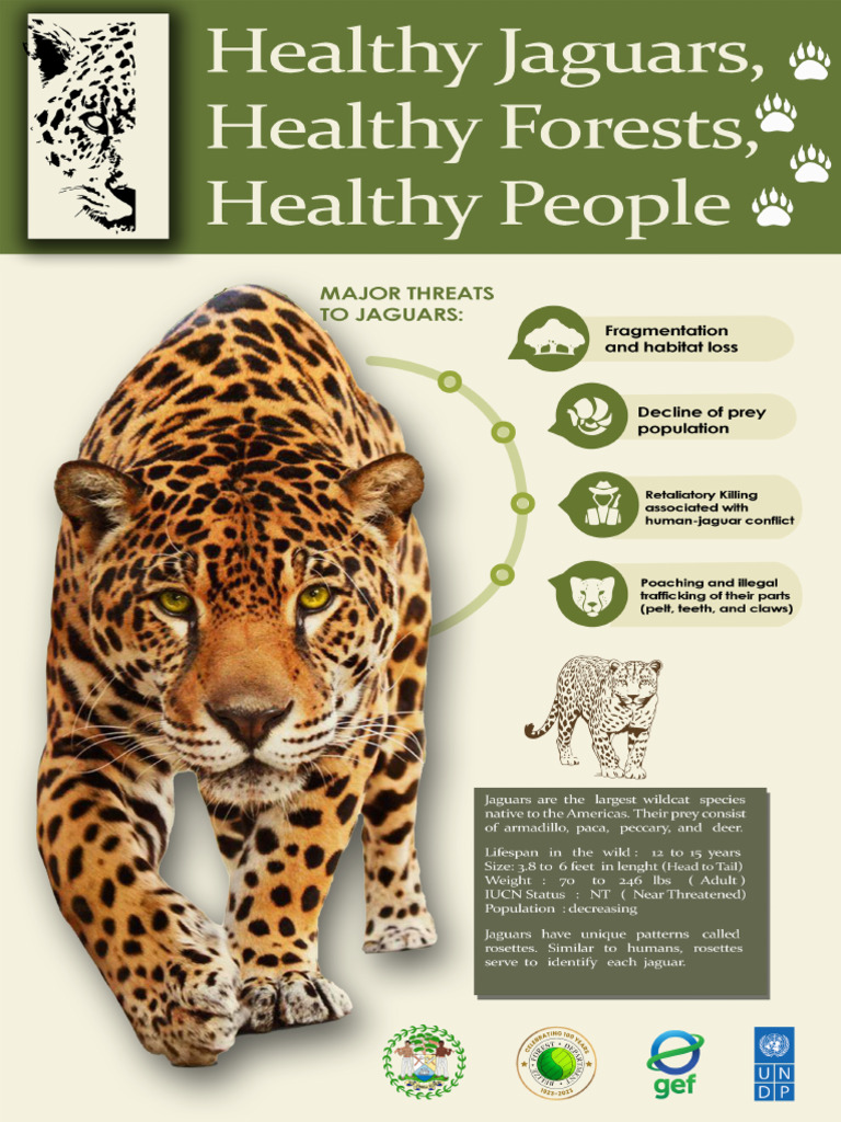 Final Poster Letter | PDF