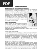 Fort Campbell Barracks Policy 19 | PDF