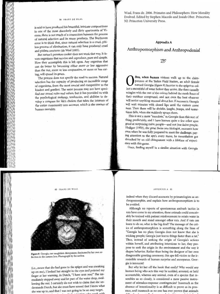Anthropomorphism and Anthropodenial de Waal | PDF