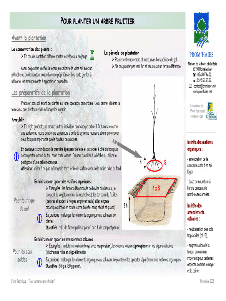 5 Arbre Fruitier | PDF