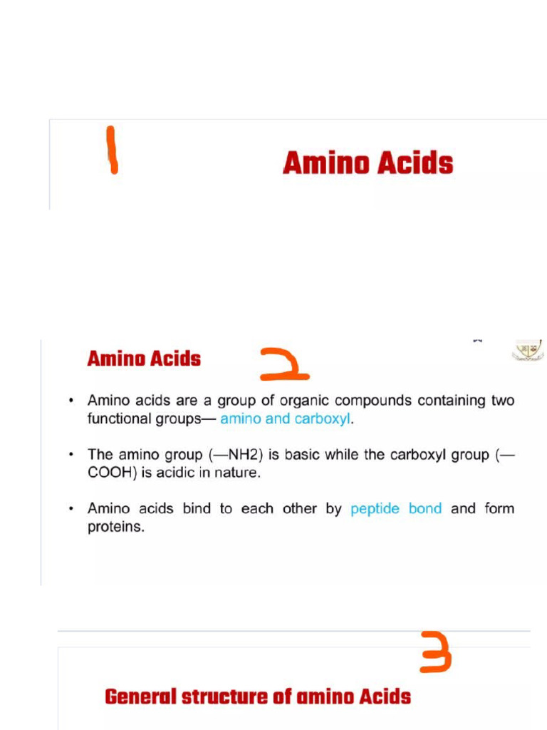 Amino Acid PPT by DR Nazeer | PDF