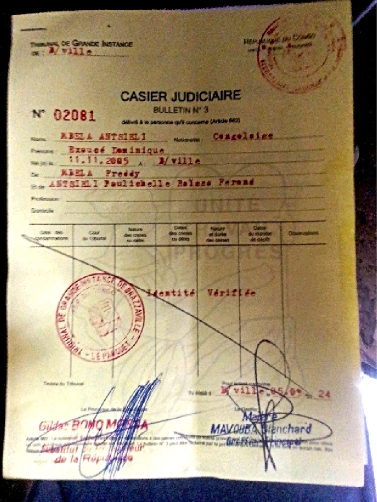 Casier Judiciaire | PDF