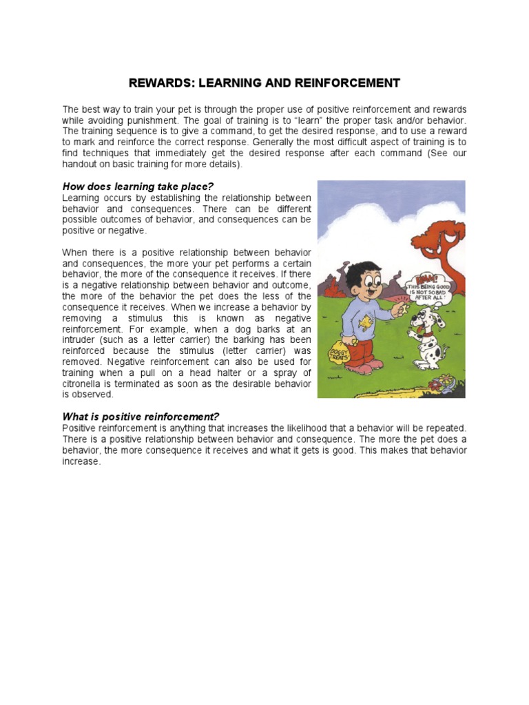 Reinforcement - Learning and Rewards | PDF | Reinforcement | Reward System