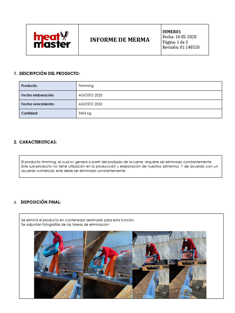 Informe de Merma Trimming Agosto 2023 | PDF