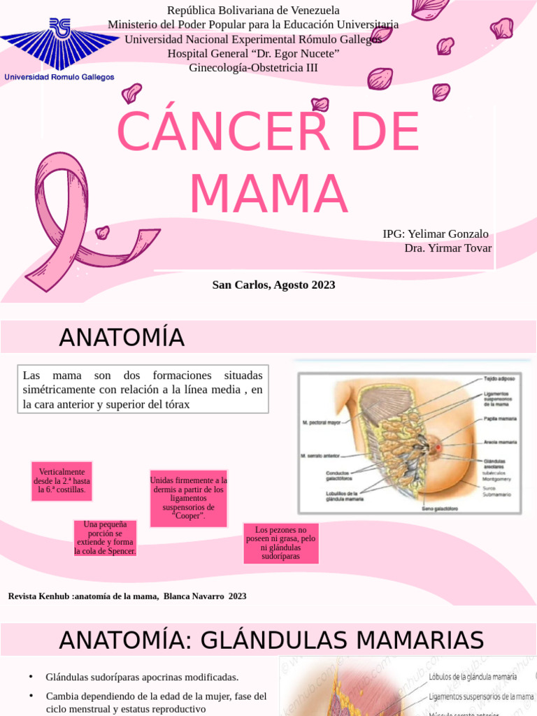 CA de Mama | PDF | Pecho | Relaciones personales, crianza y desarrollo ...
