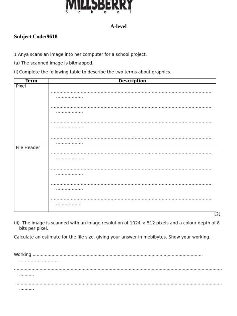Data representation computing Worksheet-2 | PDF