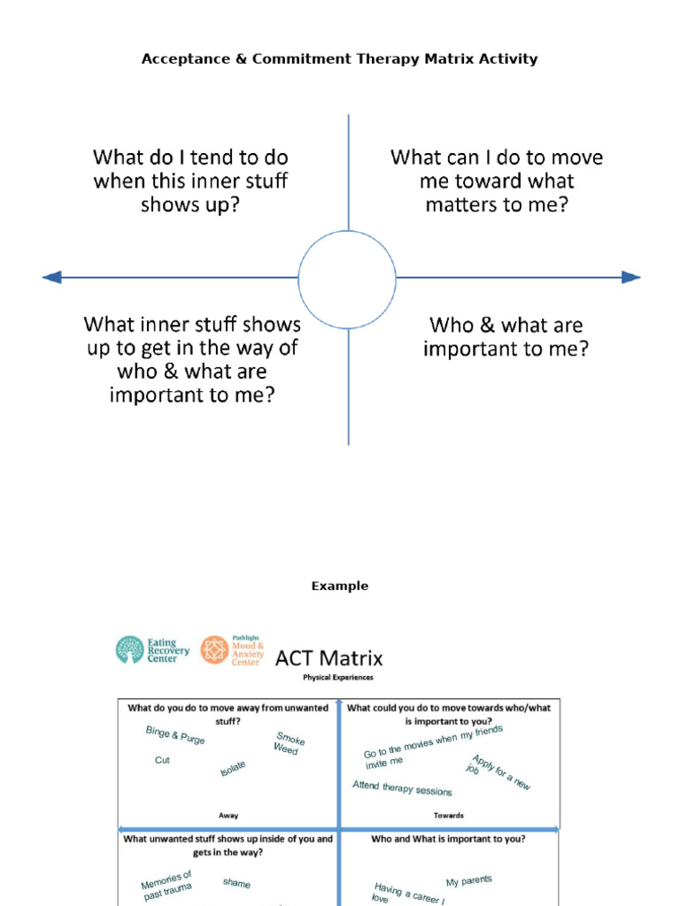 ACT Matrix Activity | PDF