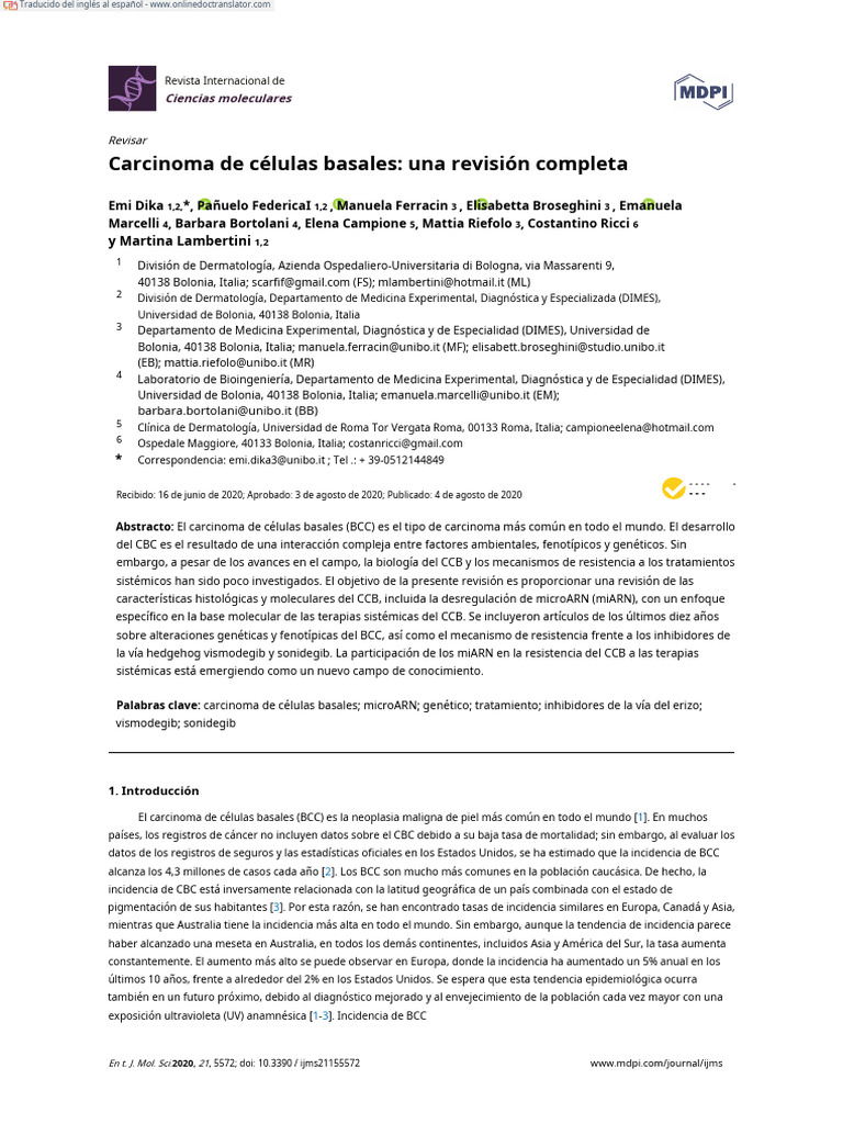 ARTÍCULO 1.en - Es | PDF