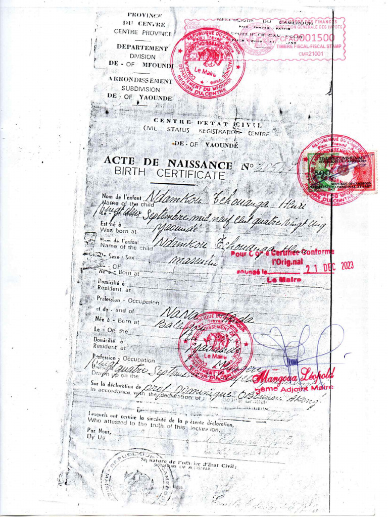Copie D'acte NDAMKOU | PDF