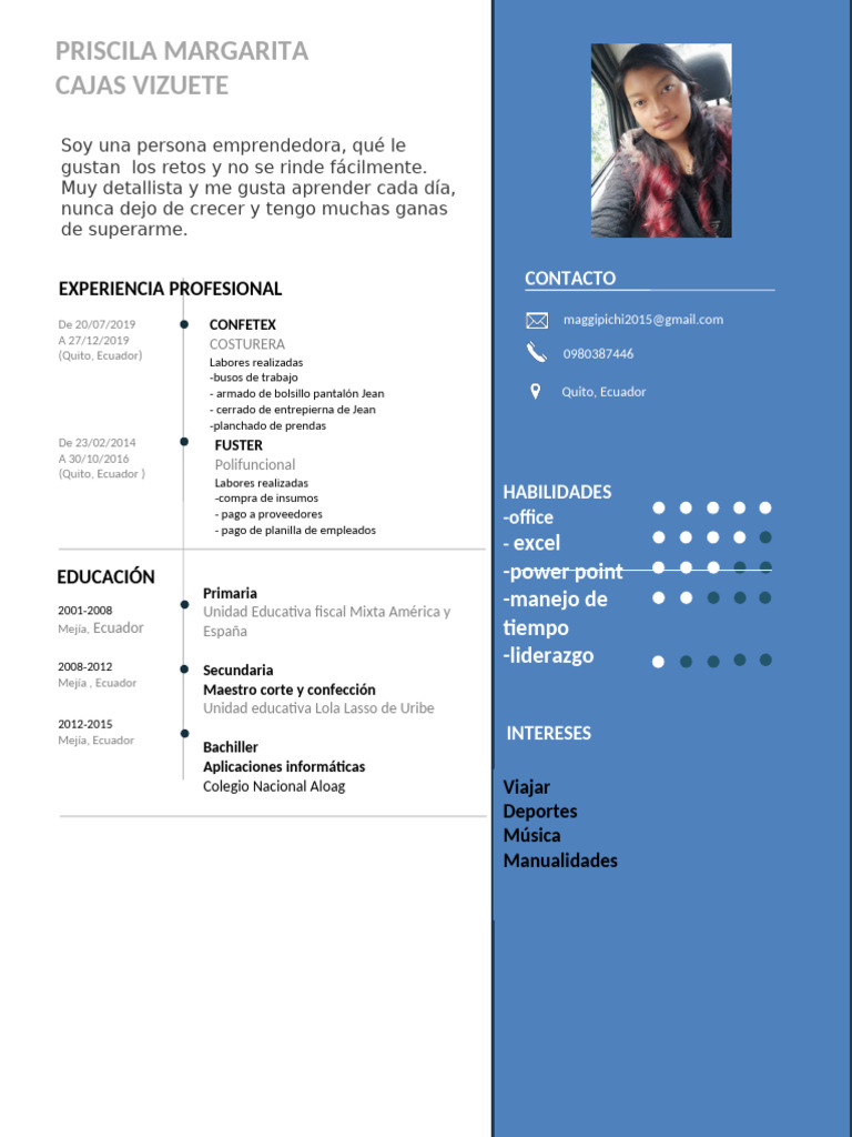 145 Hoja de Vida Profesional | PDF