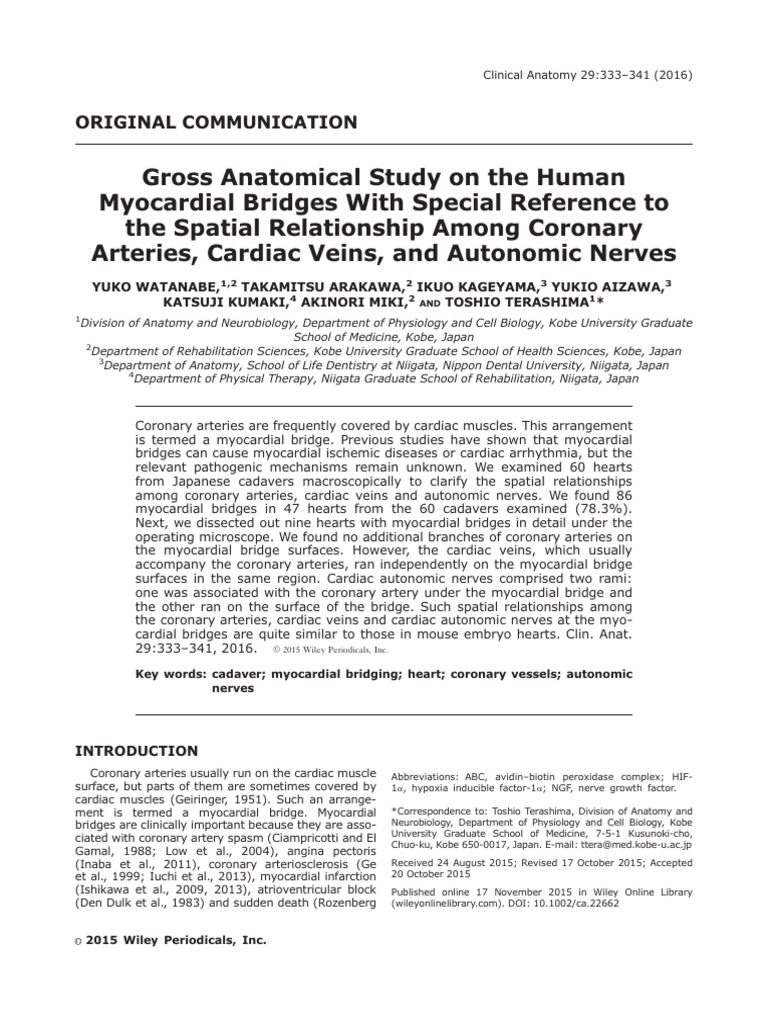 Gross Anatomical Study on the Human Myocardial Bridges With Special ...