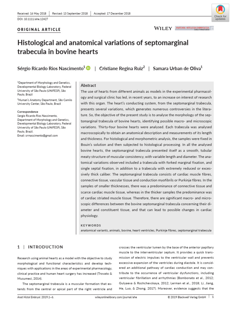 Histological and Anatomical Variations of Septomarginal Trabecula in ...