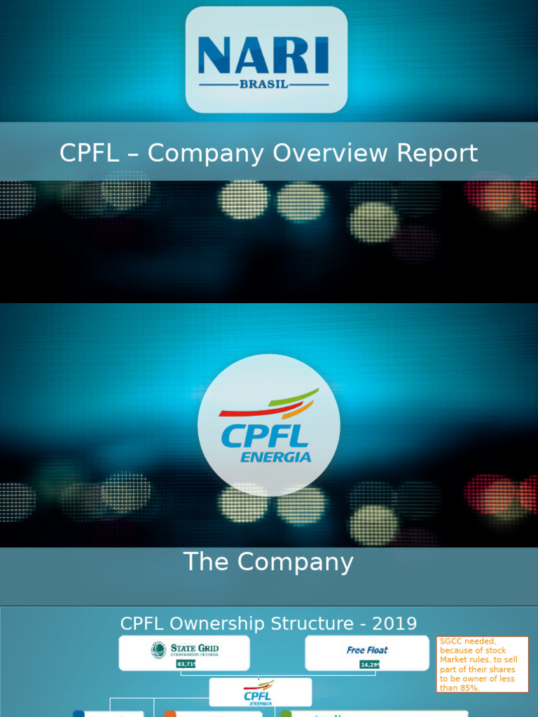 CPFL - Company Overview Report - Rev03 | PDF