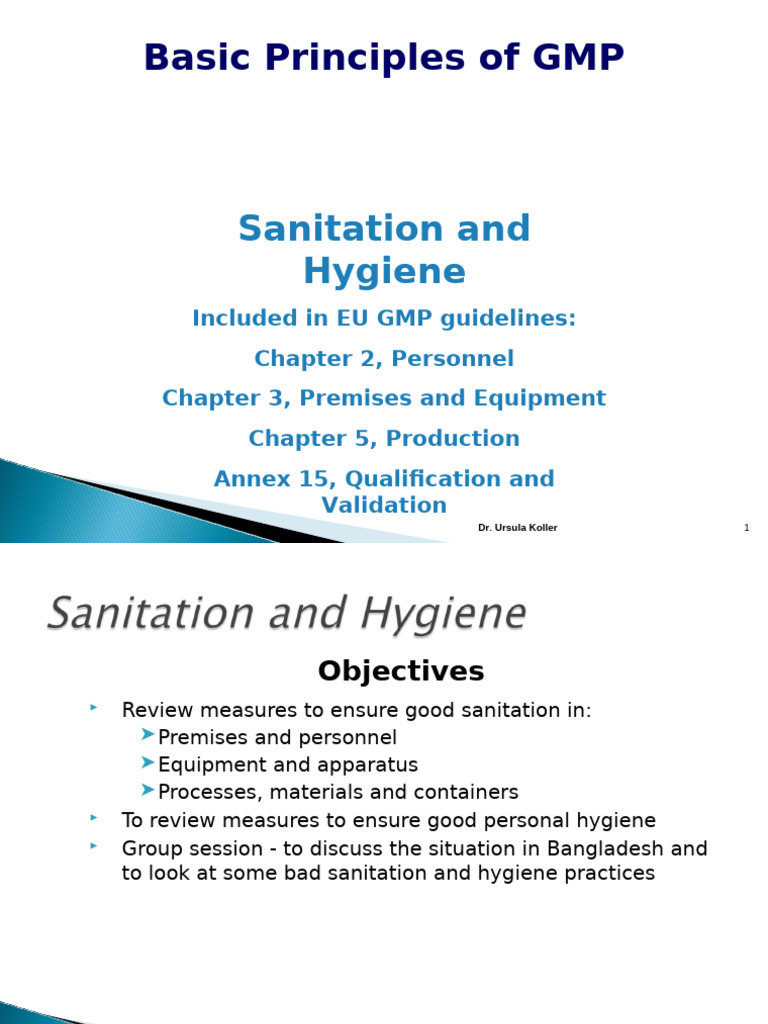 Sanitisation And Hygiene Pdf