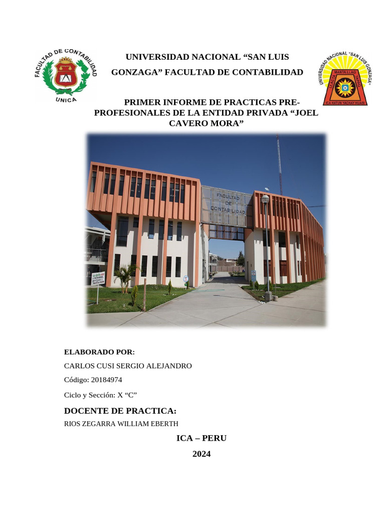 Primer Informe Carlos Cusi | PDF