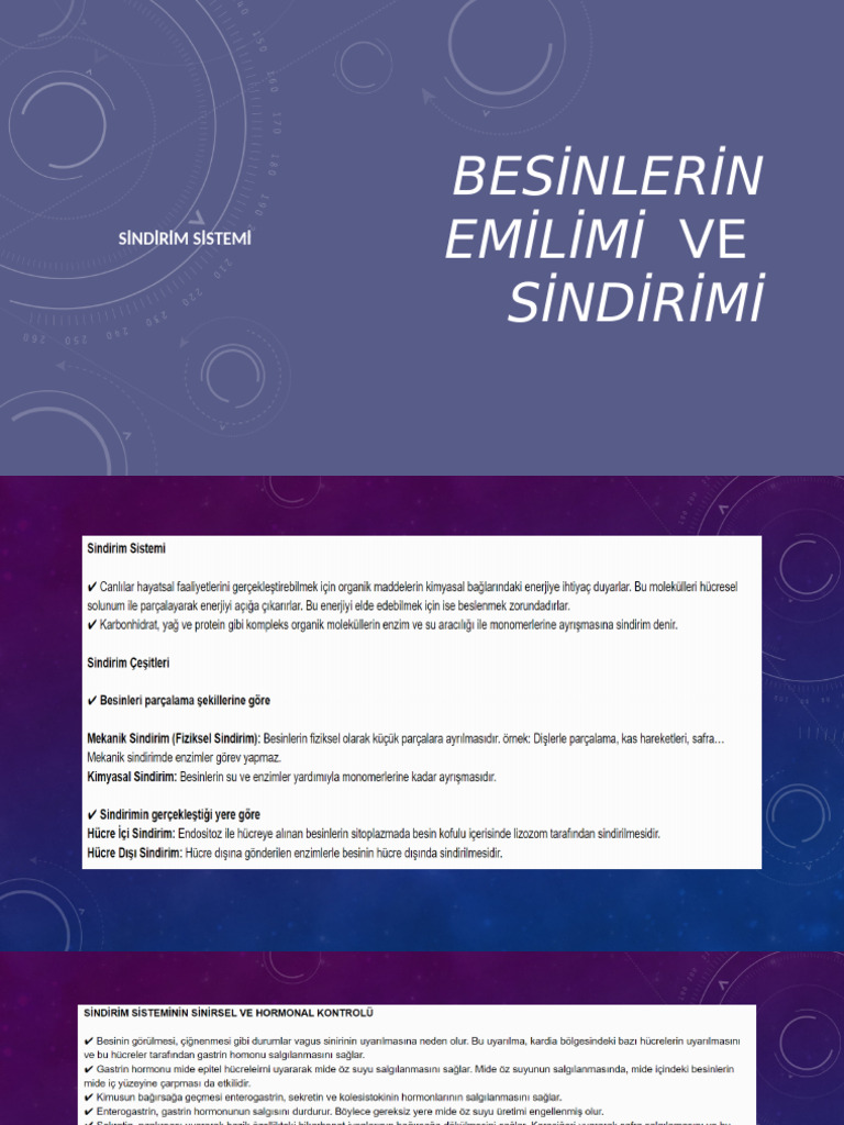 Sunu | PDF