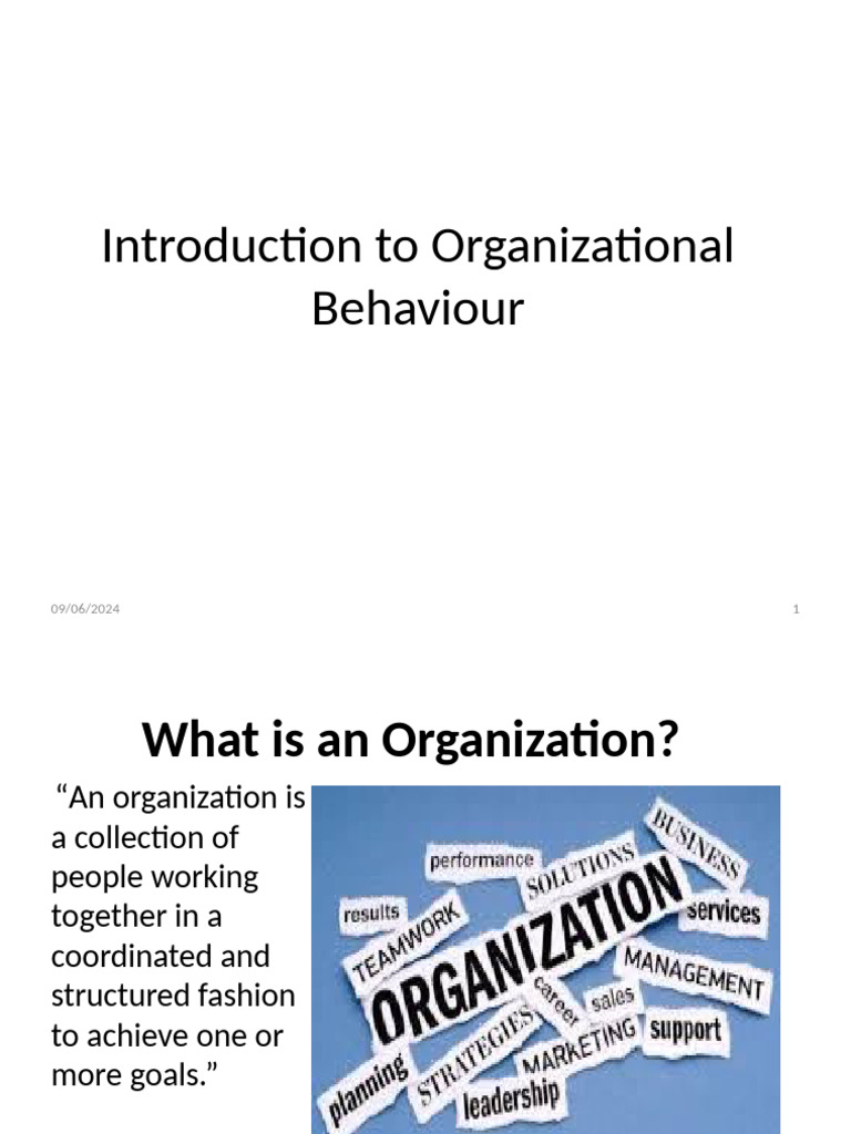 An Introduction To Organizational Behaviour - PPSX | PDF