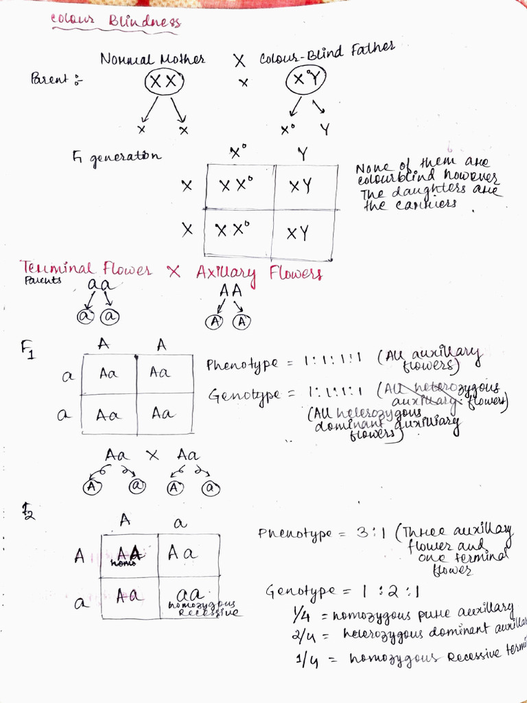 Biology Icse X - Genetics | PDF | Genetics | Polymorphism (Biology)