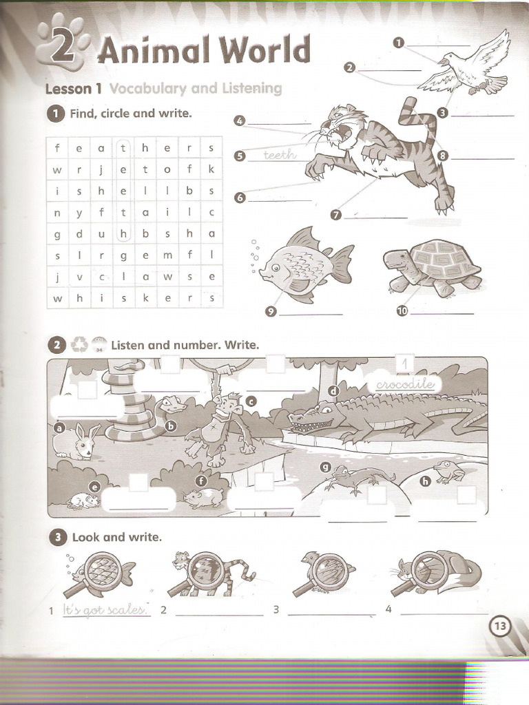 Tiger Team TM2 | PDF