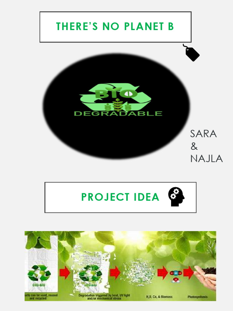 Biodegradable Bags222 | PDF