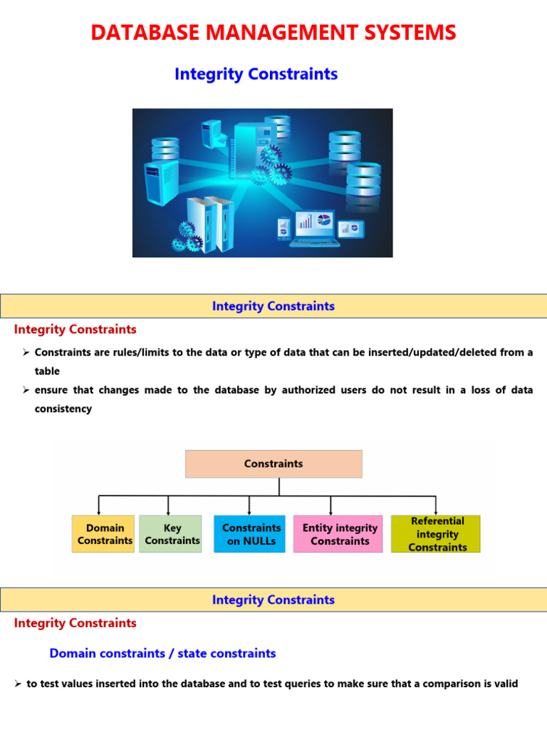 Integrity Constraints | PDF