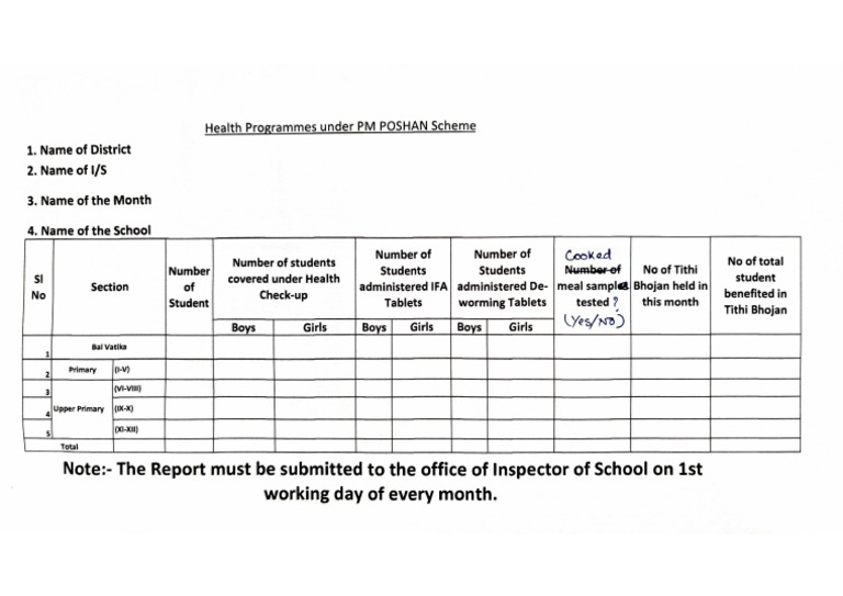 Monthly Format For Health Programme | PDF