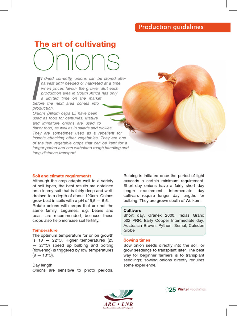 The Art of Cultivating Onions | PDF
