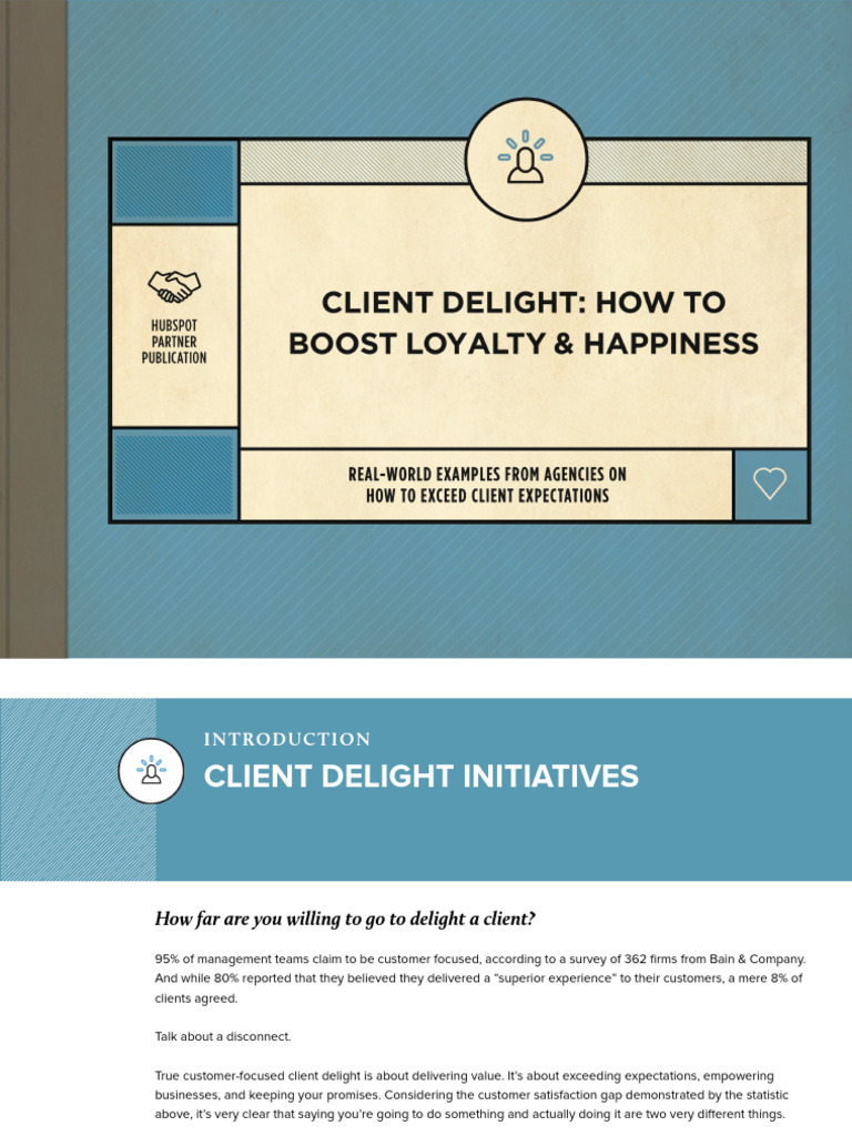 Client Delight Strategies | PDF