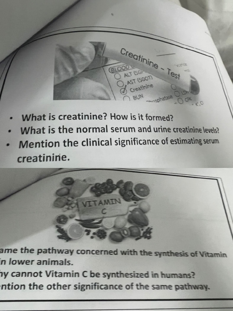 Biochem Viva Cards | PDF