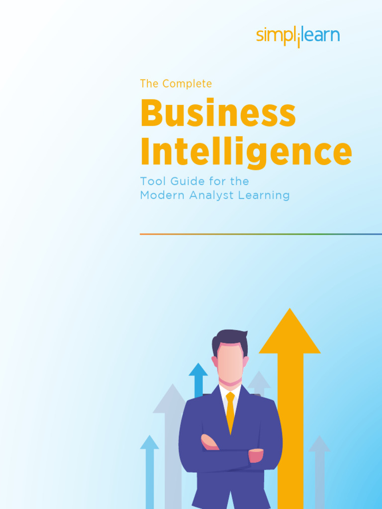 Business Intelligence | PDF