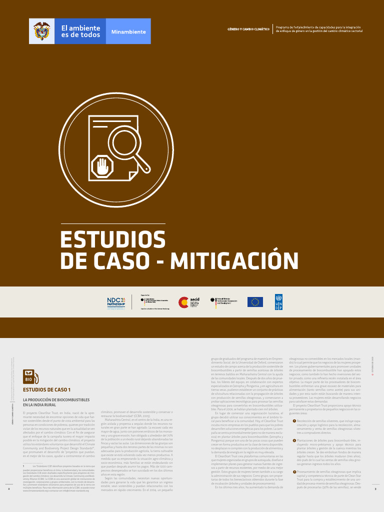 Casos Genero Mitigacion | PDF