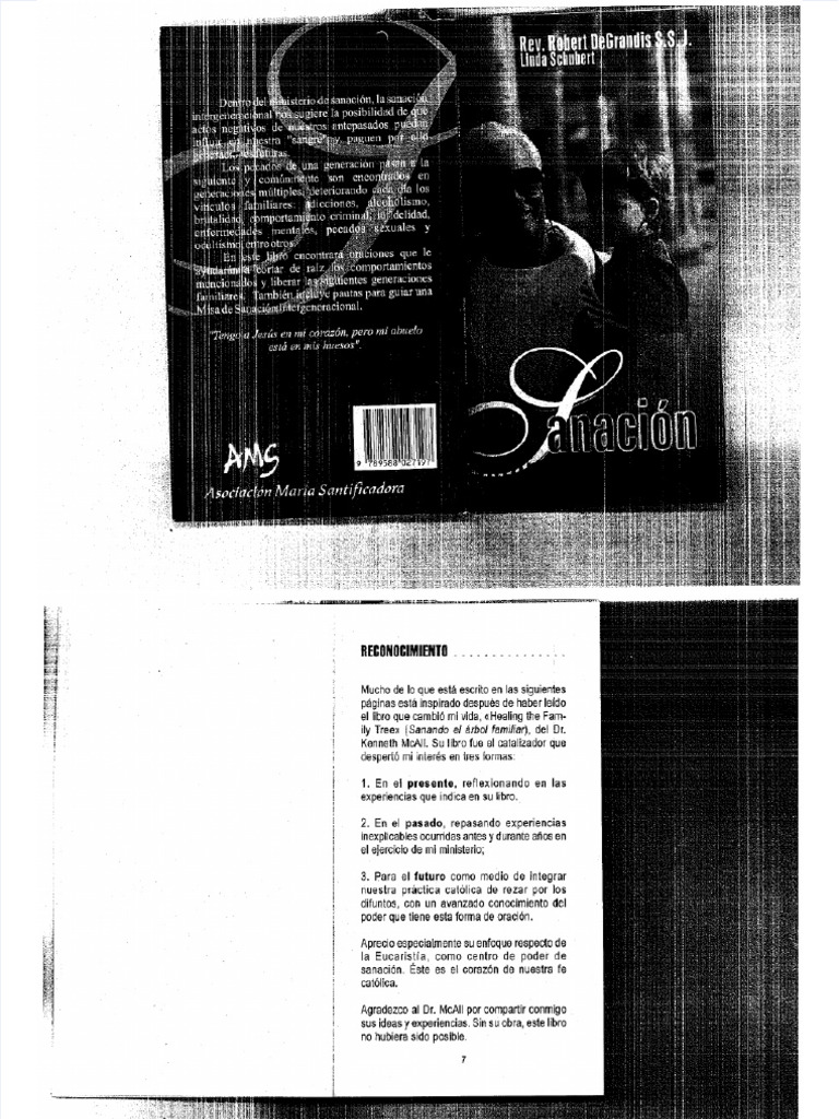 Dokumen - Tips - Libro Sanacion Intergeneracional P Robert Degrandis ...