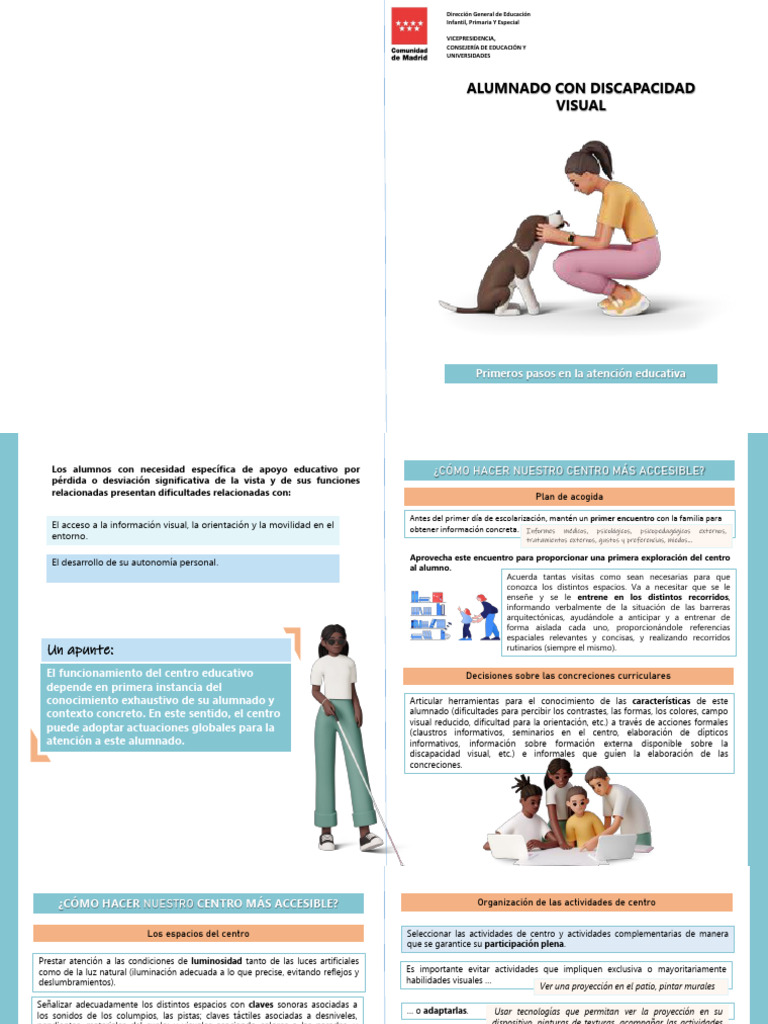 Guía Alumnado Discapacidad Visual | PDF