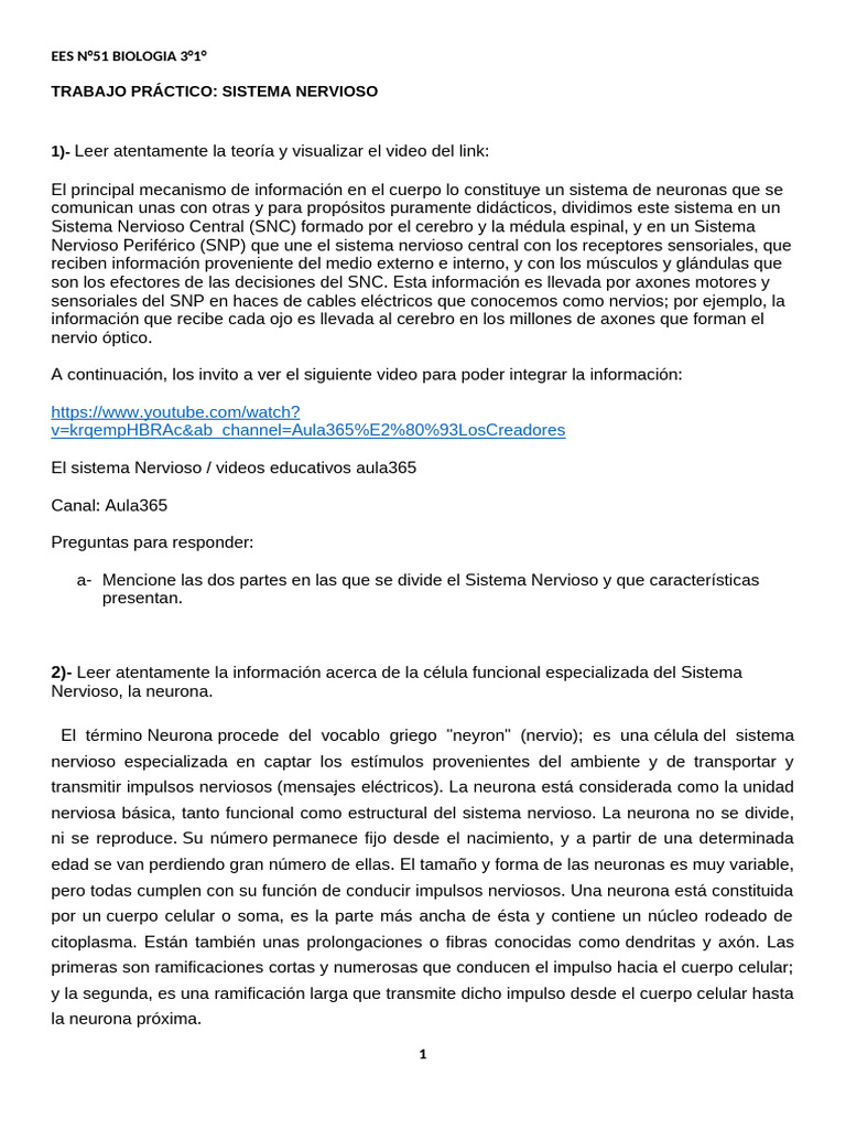 Intensificación Sistema Nervioso 3ero | PDF