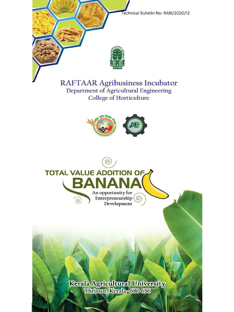 4 Banana Processing English | PDF