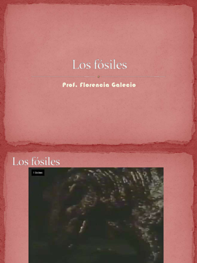 Los Fósiles | PDF