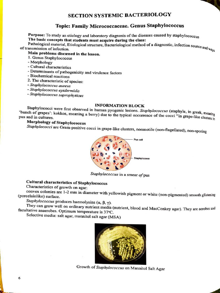 Microbio 01 - Compressed | PDF