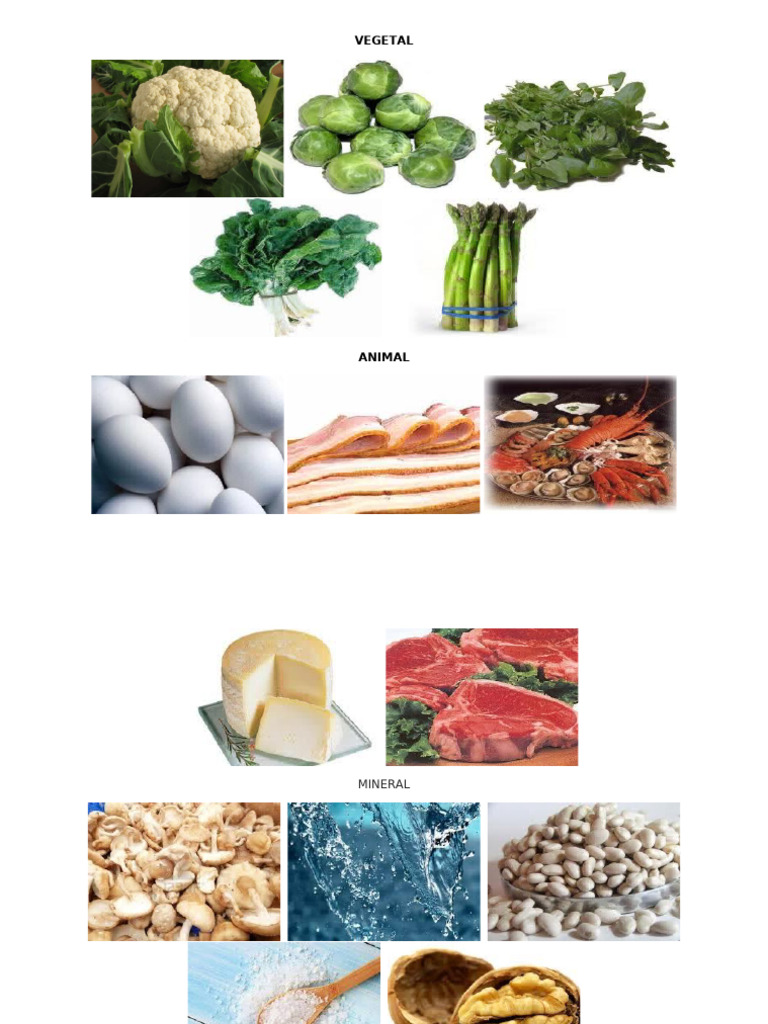 5 Alimentos de Origen Animal Vegetal Mineral | PDF